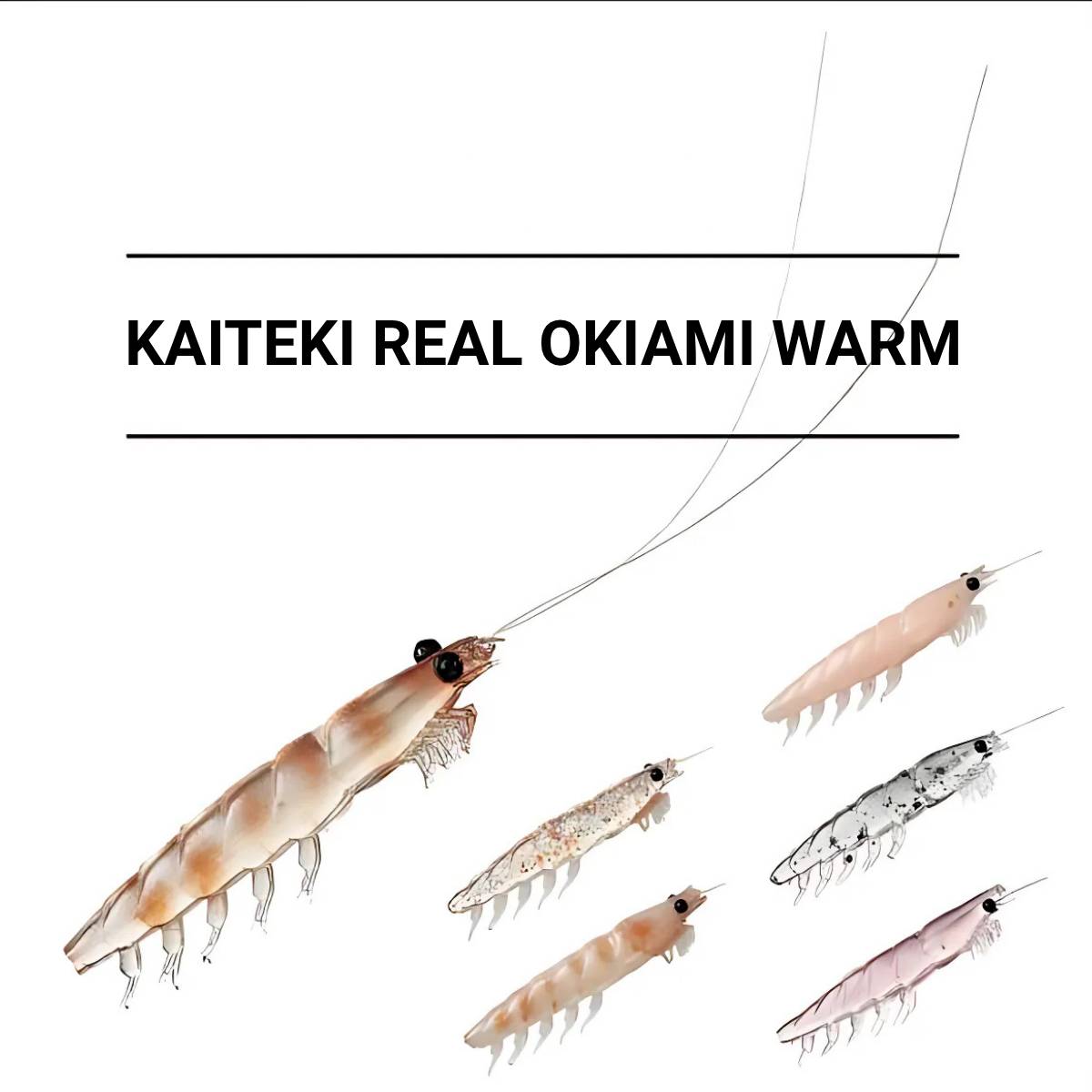 KAITEKI REAL OKIAMI – Daiwa Việt Nam