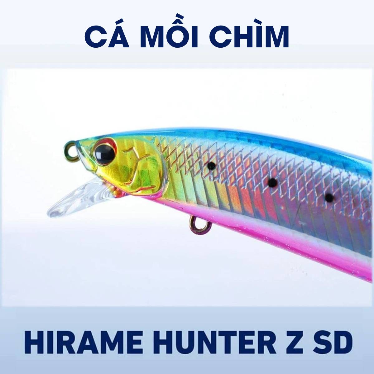 FLAT JUNKIE HIRAME HUNTER Z SD – Daiwa Việt Nam